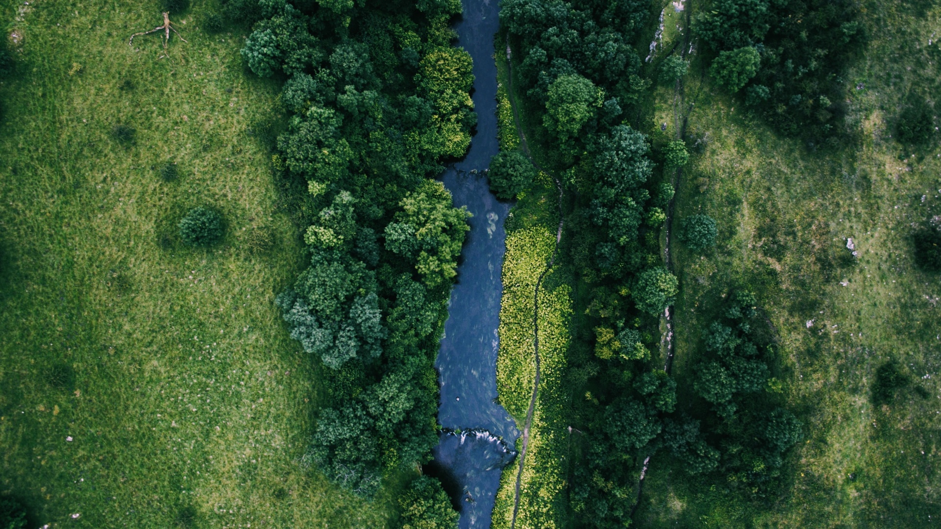 Multifunctional afforestation on private land - Corvinus University of ...