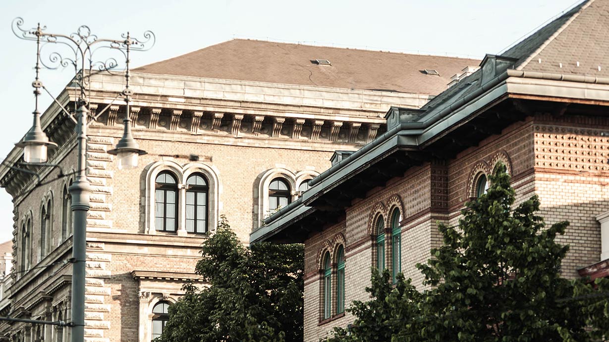 Doctoral Thesis Defence of Viktor Nagy-Borsy - Corvinus University of Budapest