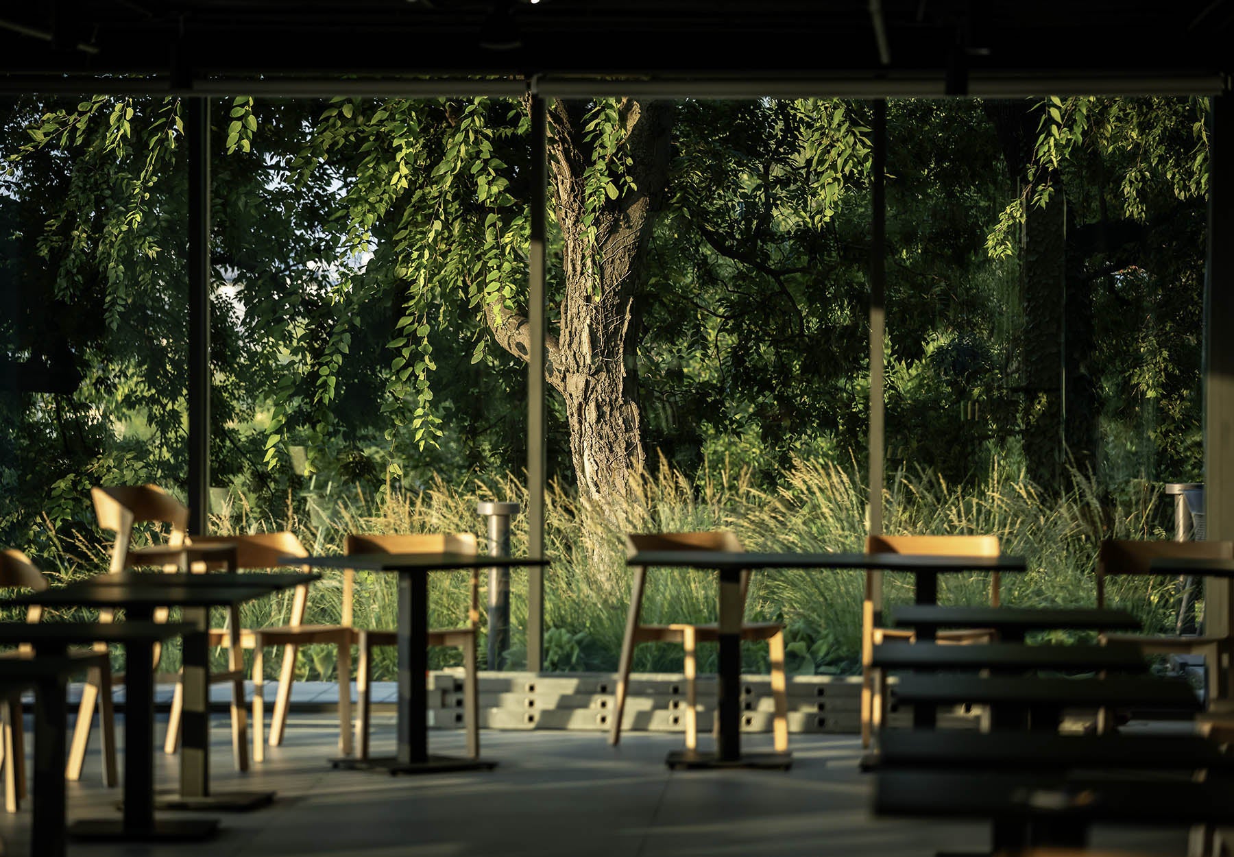 Dr. Jay Liebowitz előadása MI intuíció témában a Corvinuson - Budapesti Corvinus Egyetem